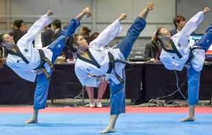FGTKD oferece curso de Poomsae em Aparecida de Goiânia - EG - Esporte ...